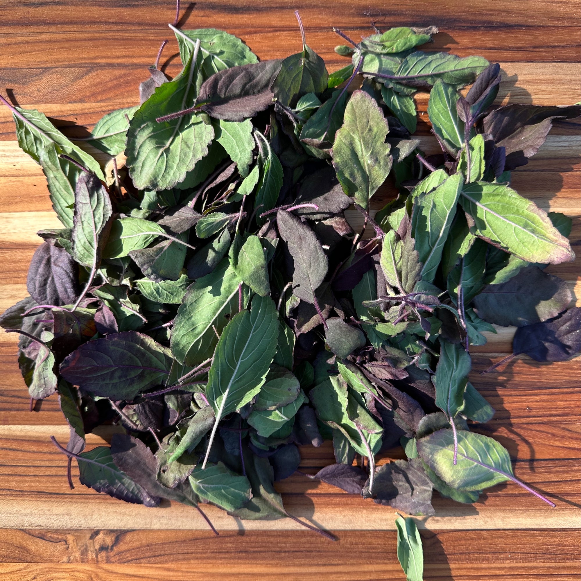 Tulsi / Holy Basil Krishna Seeds - The Plant Good Seed Company