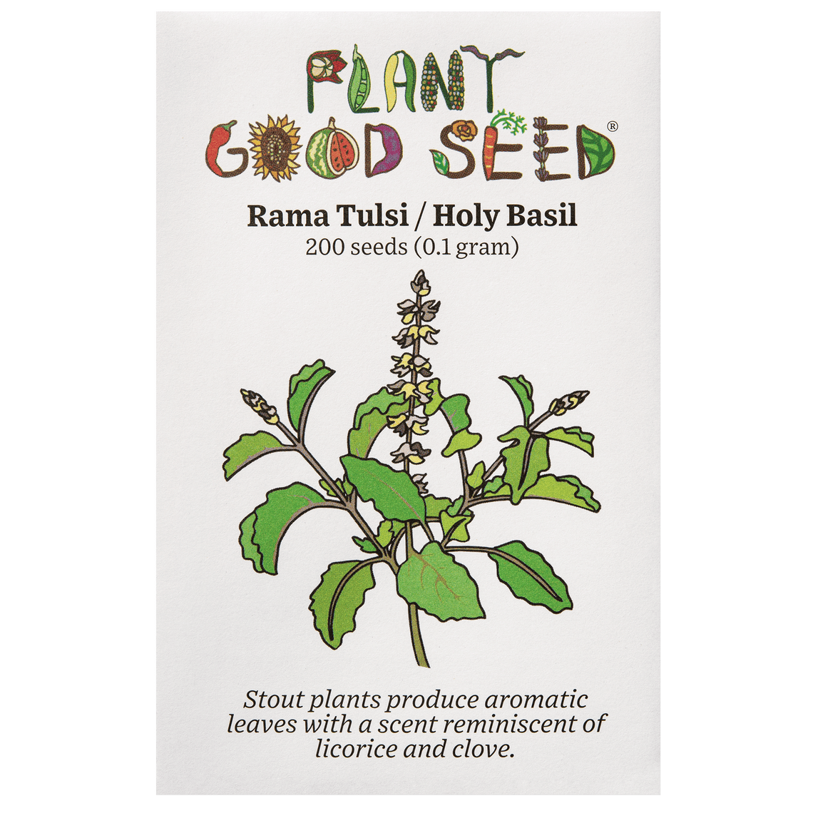 Rama Tulsi / Holy Basil Seeds - The Plant Good Seed Company