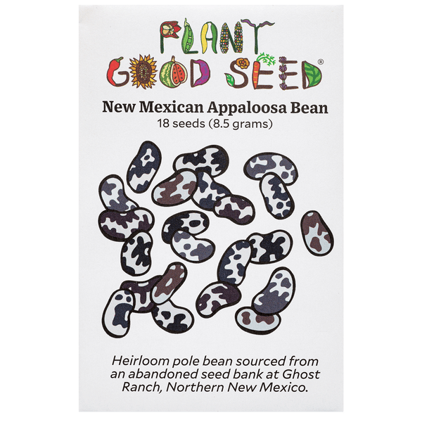 New Mexican Appaloosa Pole Bean Seeds - The Plant Good Seed Company