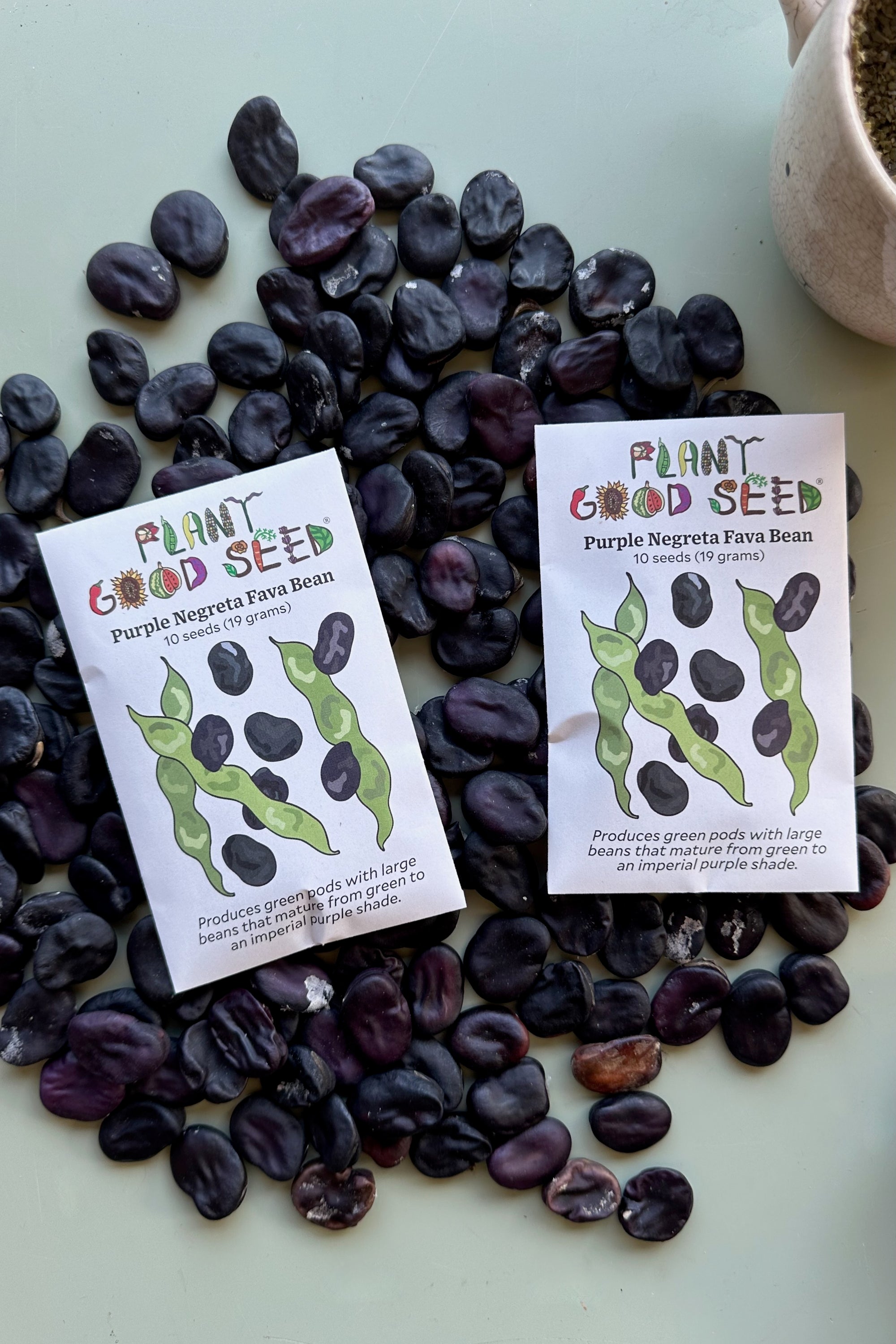 Negreta Purple Fava Bean - The Plant Good Seed Company