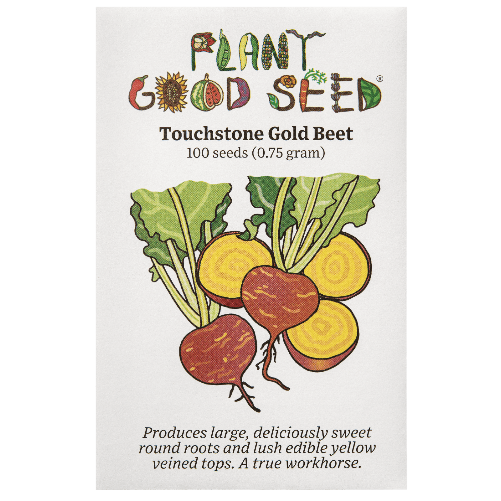 Touchstone Gold Beet Seeds - The Plant Good Seed Company