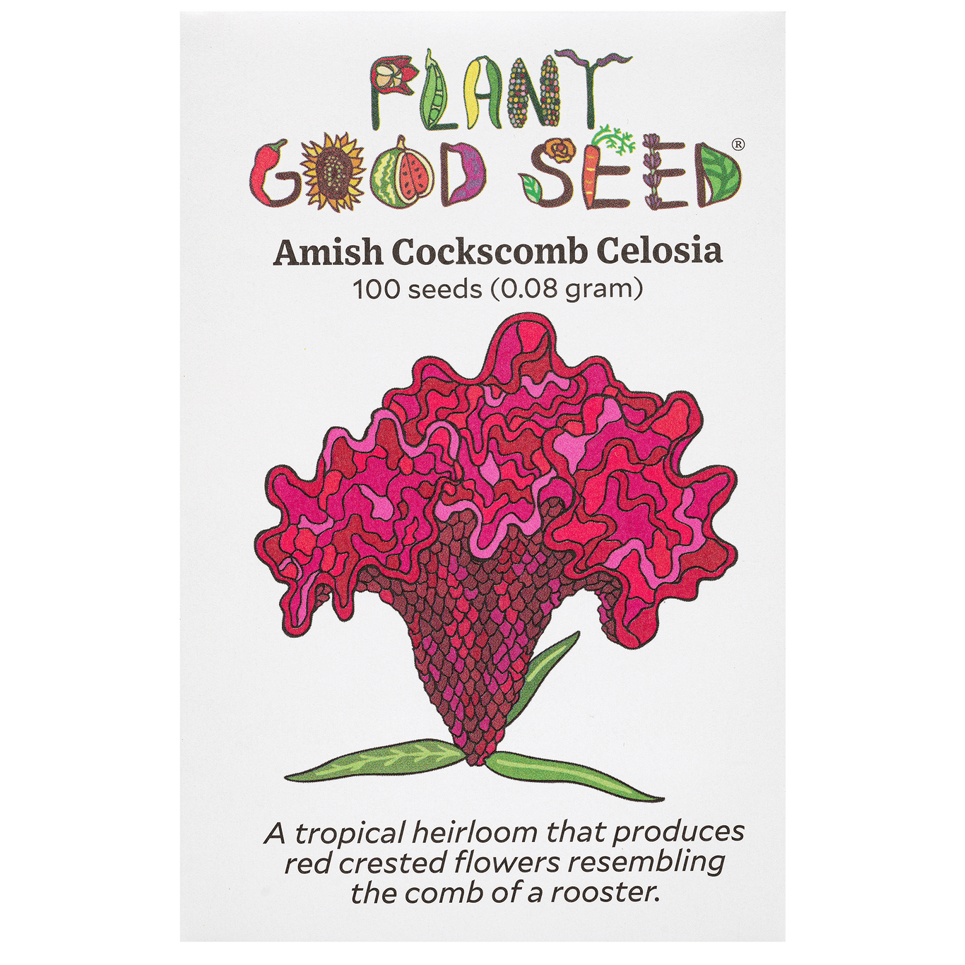 Amish Cockscomb Celosia Seeds - The Plant Good Seed Company