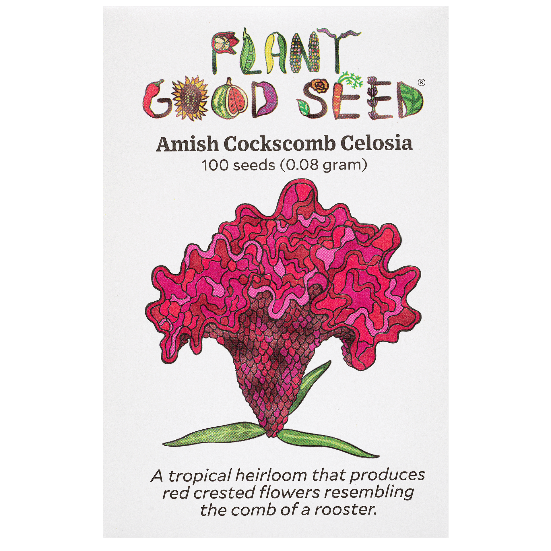 Amish Cockscomb Celosia Seeds - The Plant Good Seed Company