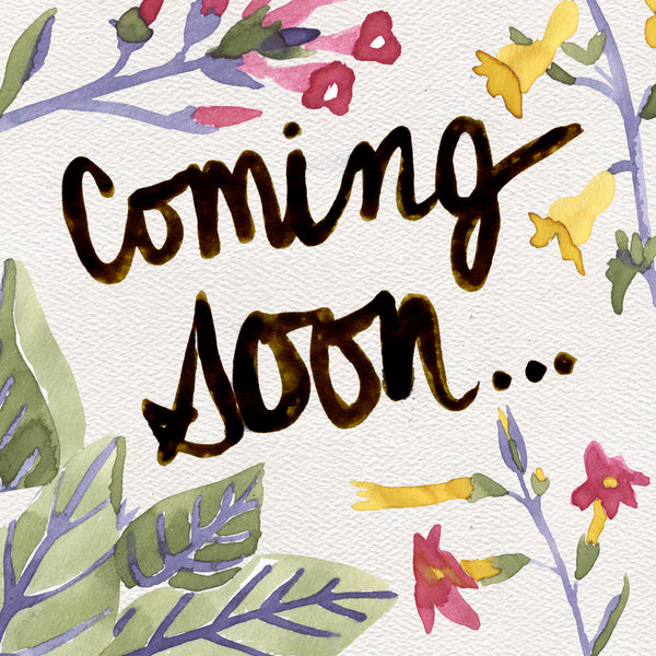 Coming Soon in 2025 - The Plant Good Seed Company