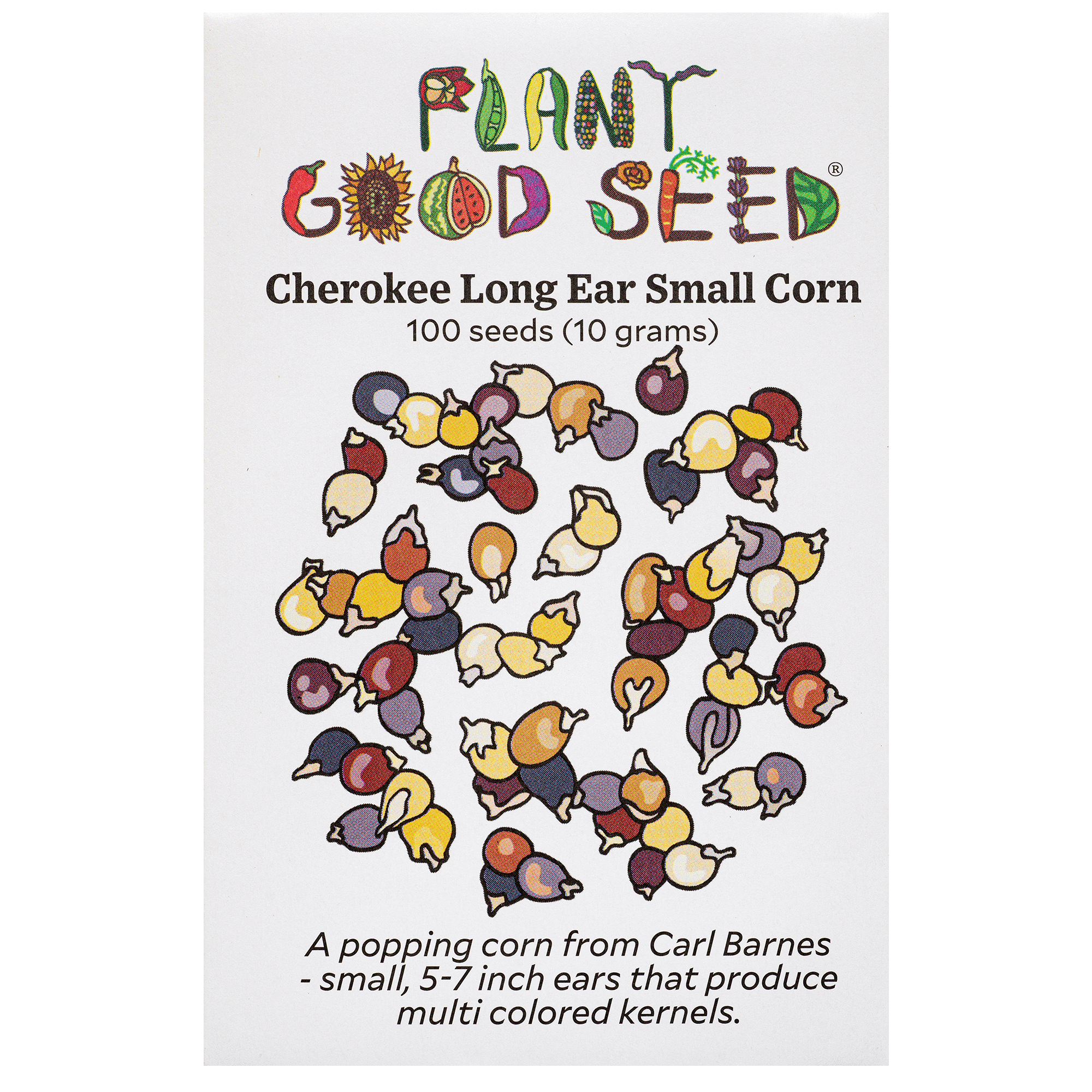 Cherokee Long Ear Small Corn Seeds - The Plant Good Seed Company
