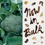Marathon Elite F1 Broccoli Seeds - The Plant Good Seed Company