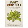 Common / Great Mullein Seeds - The Plant Good Seed Company