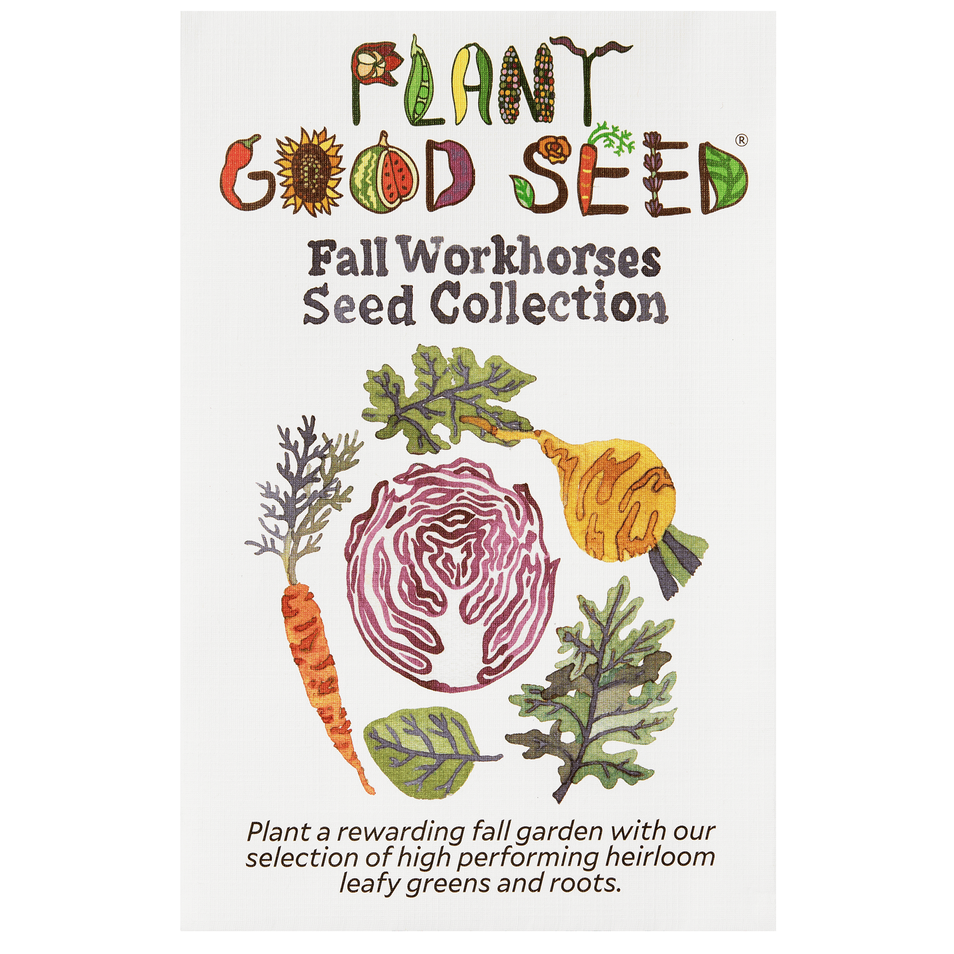 Fall Workhorses Seed Collection - Seven Packets - The Plant Good Seed ...