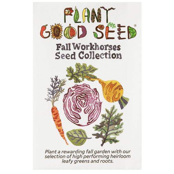 Fall Workhorses Seed Collection - Seven Packets - The Plant Good Seed ...