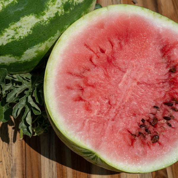 Sweet Dakota Rose Watermelon Seeds - The Plant Good Seed Company