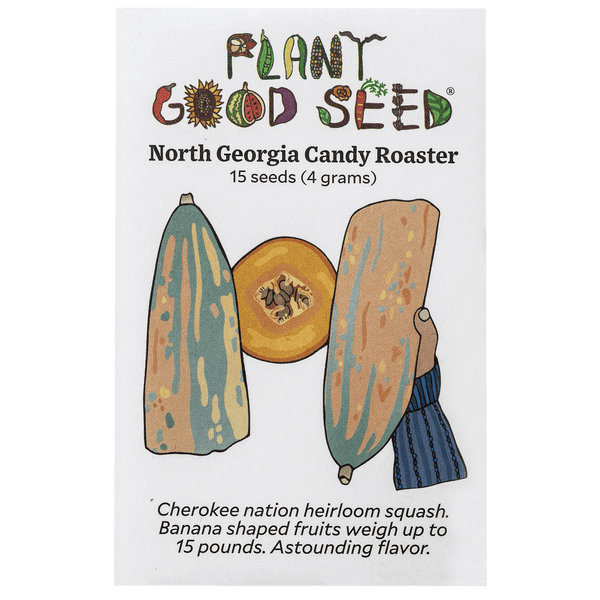 North Georgia Candy Roaster Winter Squash Seeds - The Plant Good Seed ...