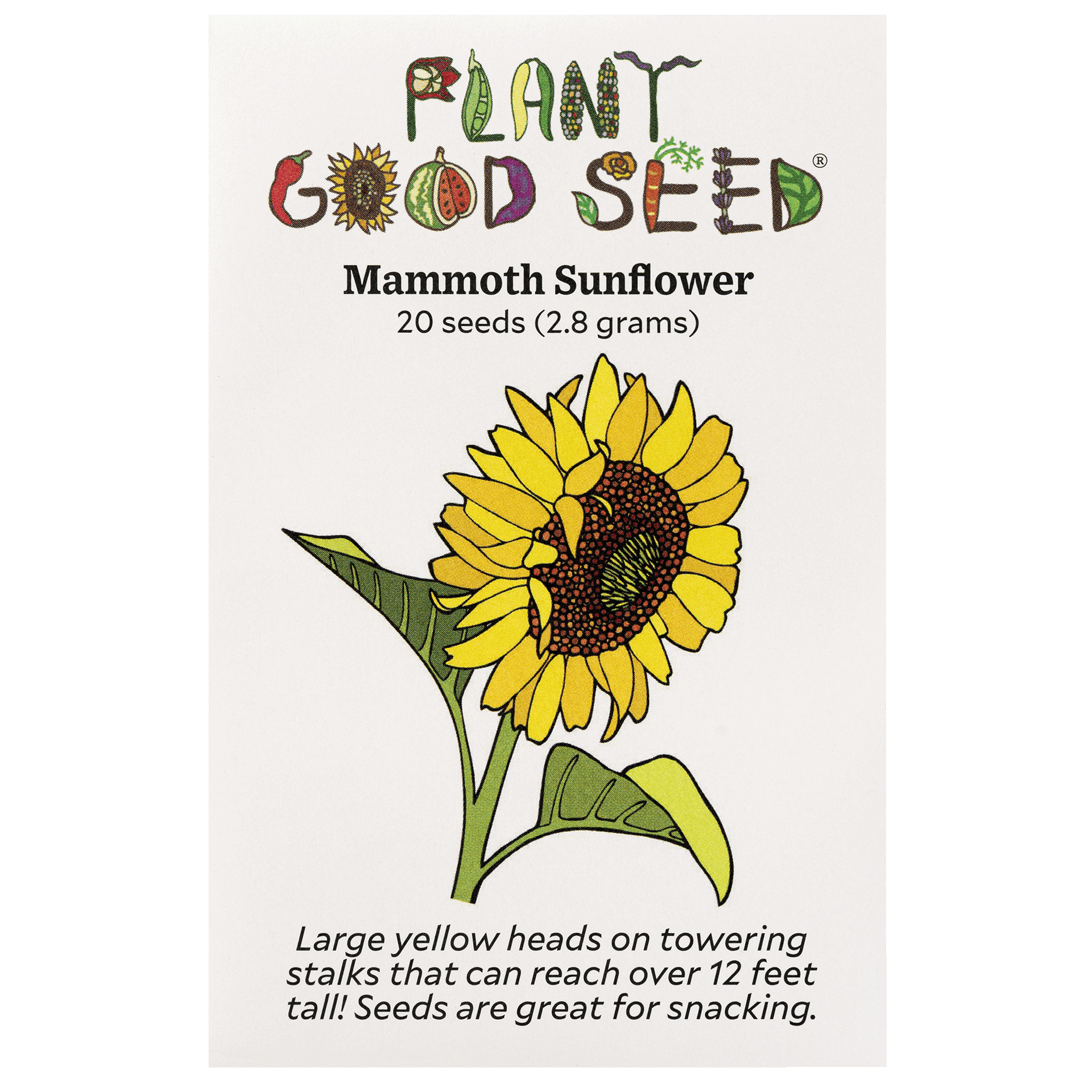 Mammoth Sunflower - The Plant Good Seed Company
