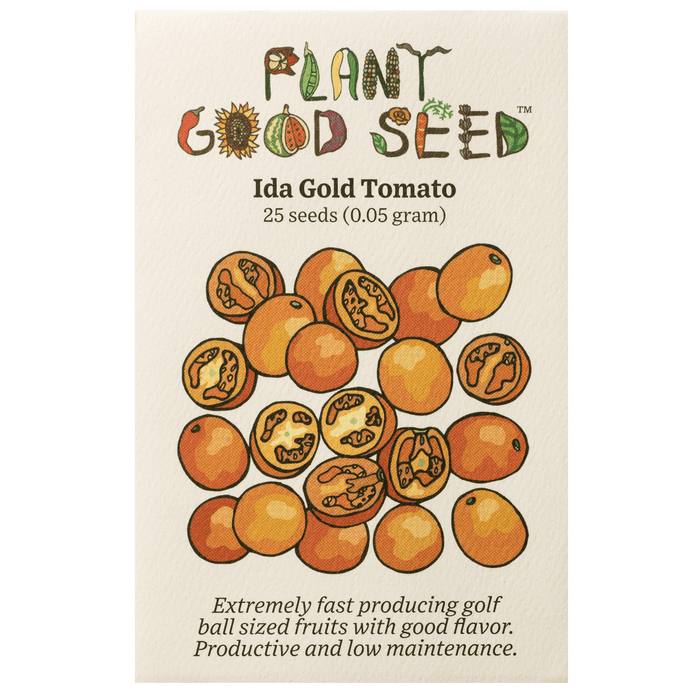 Ida Gold Tomato - The Plant Good Seed Company