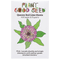 Queeny Red Lime Zinnia - The Plant Good Seed Company