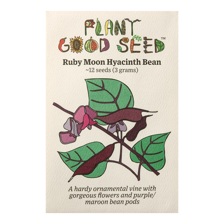 Ruby Moon Hyacinth Bean Seeds - The Plant Good Seed Company
