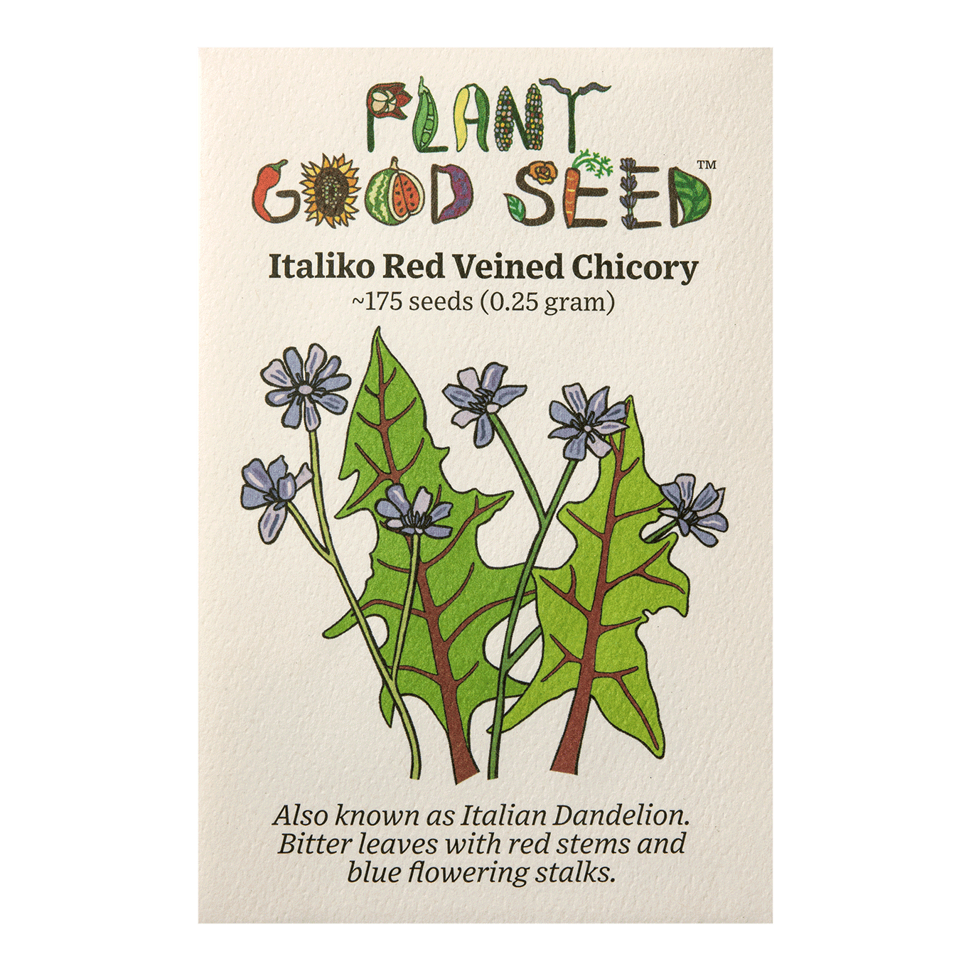 Red-Veined Chicory Seeds - The Plant Good Seed Company