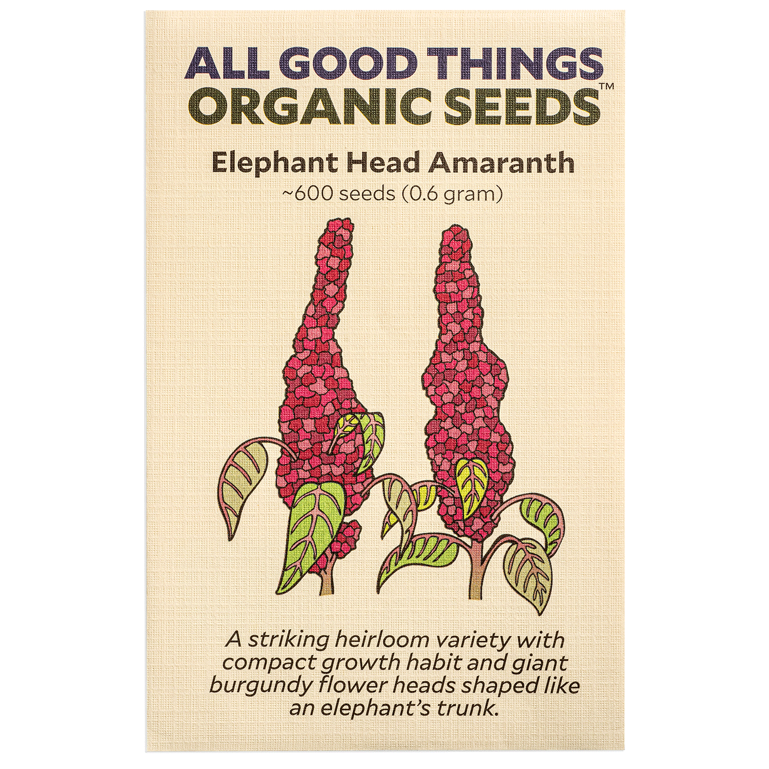 Elephant Head Amaranth