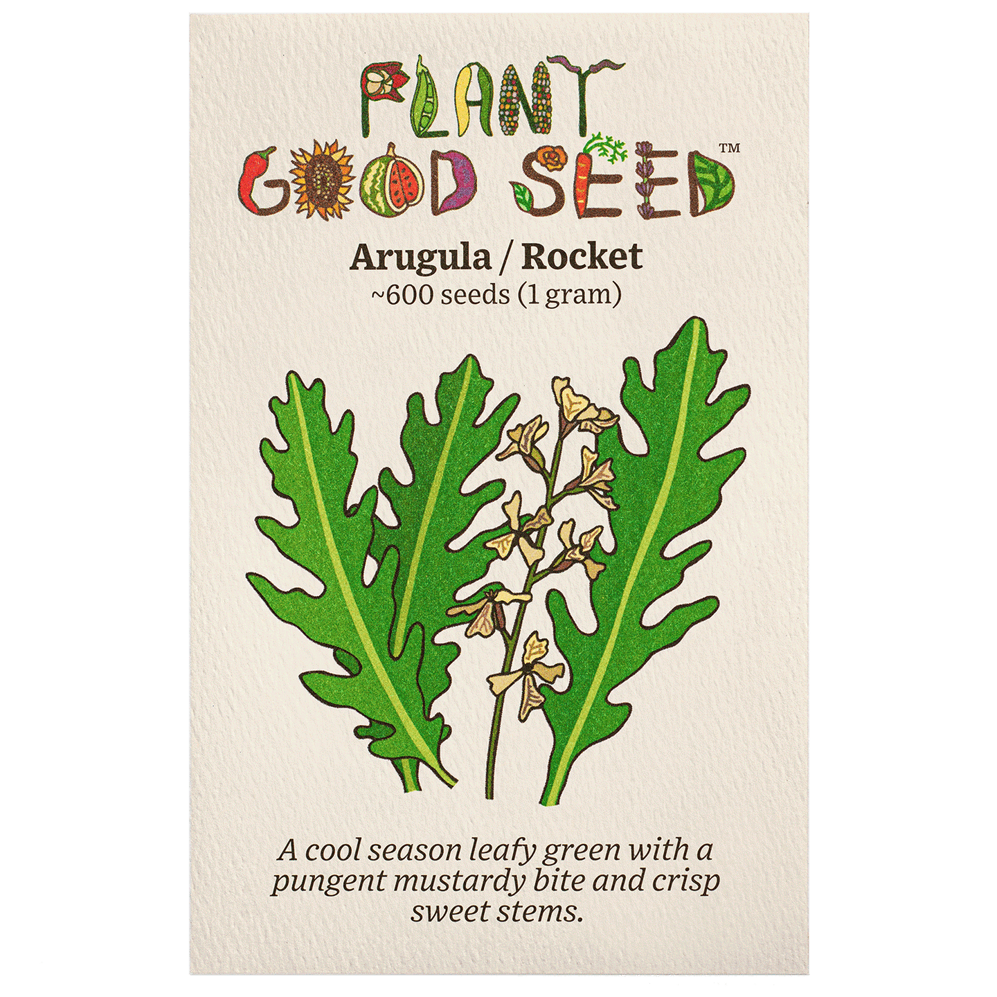 Astro Arugula Seeds - The Plant Good Seed Company