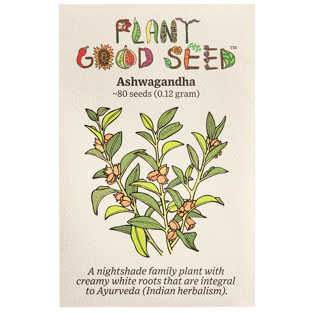 Ashwaganda Seeds - The Plant Good Seed Company