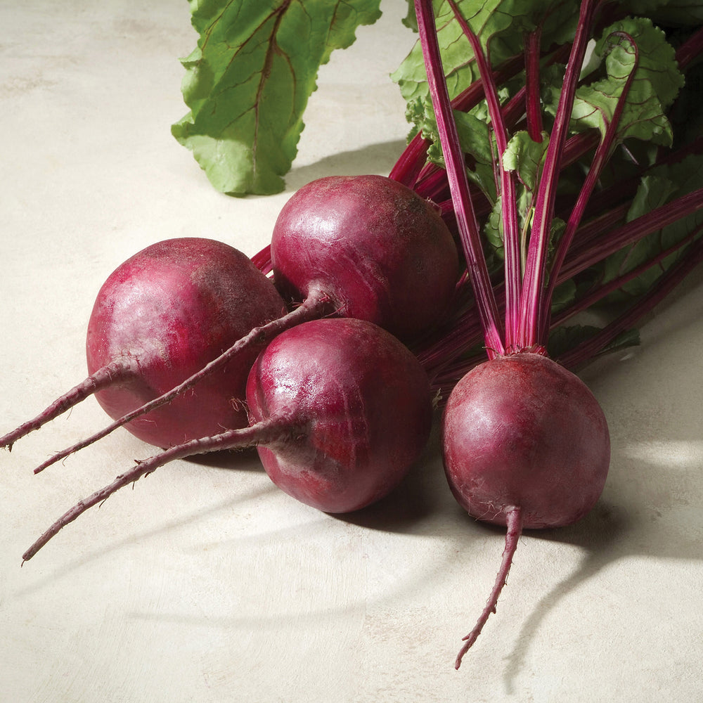 Organic Beet Seeds: Non-GMO, Certified Organic Heirloom Varieties - The ...
