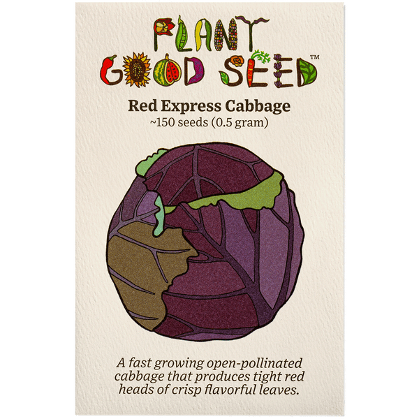 Red Express Cabbage Seeds - The Plant Good Seed Company