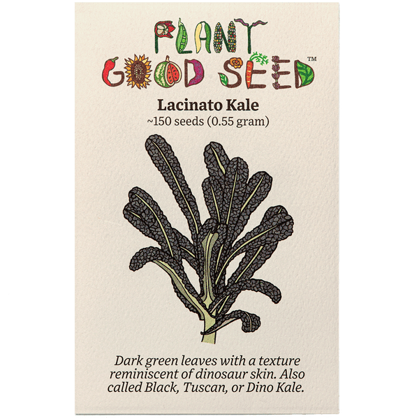 Lacinato Kale Seeds - The Plant Good Seed Company