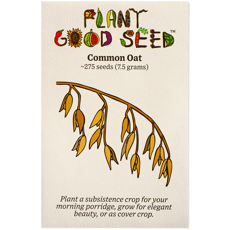 Common Oat Seeds - The Plant Good Seed Company