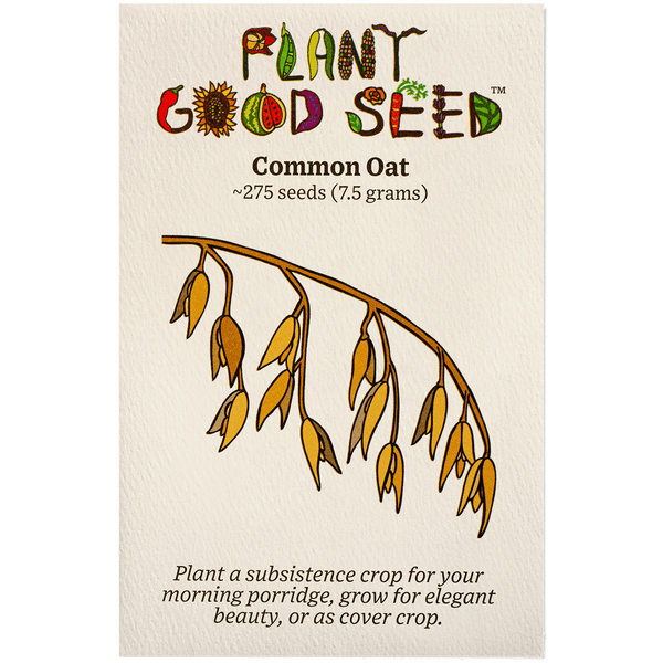 Common Oat Seeds - The Plant Good Seed Company