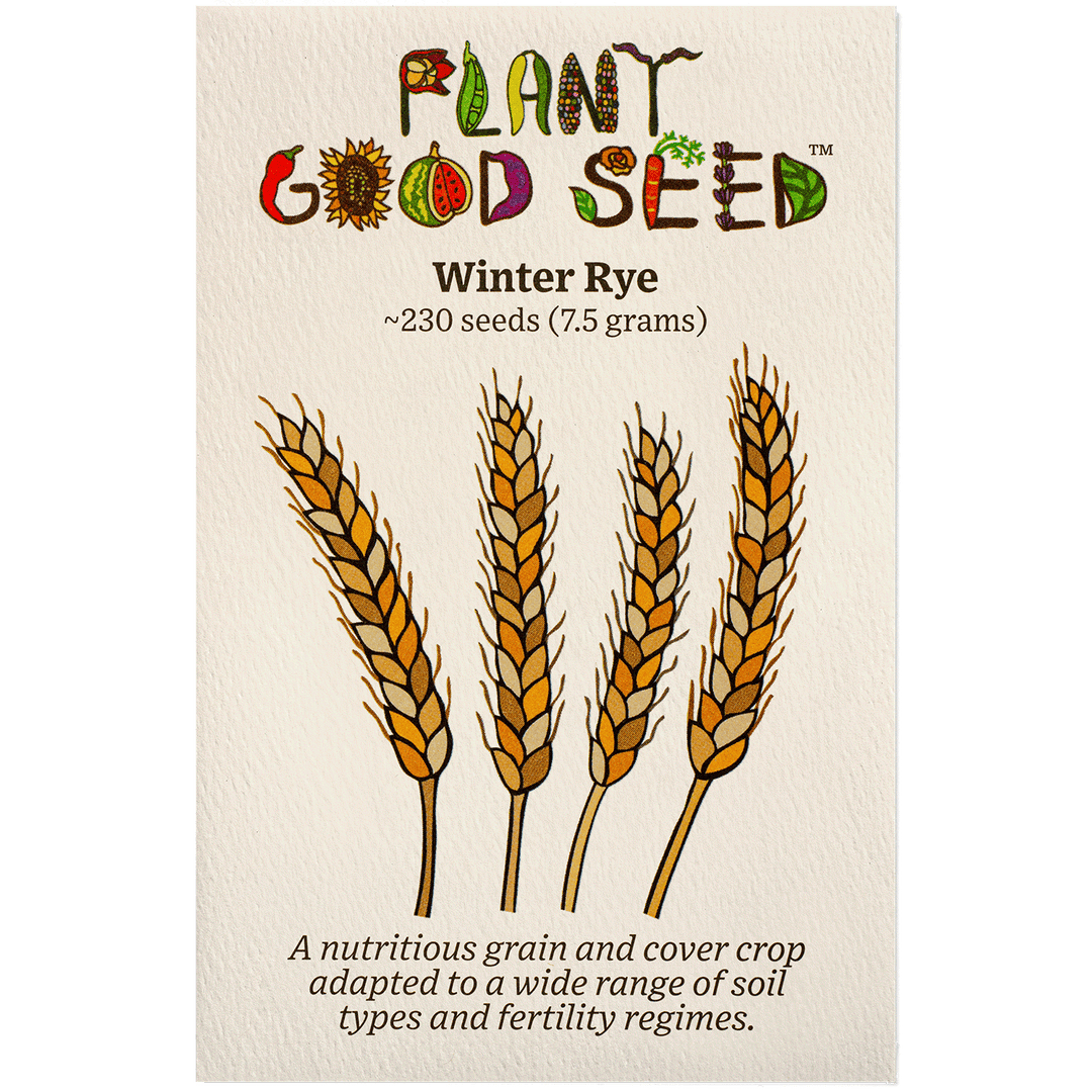 Winter Rye Seeds - The Plant Good Seed Company