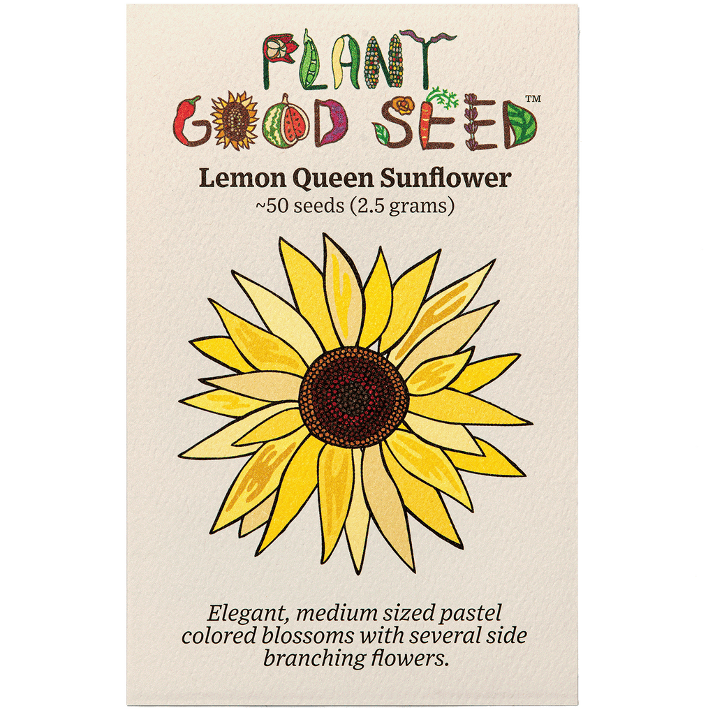 Lemon Queen Sunflower Seeds