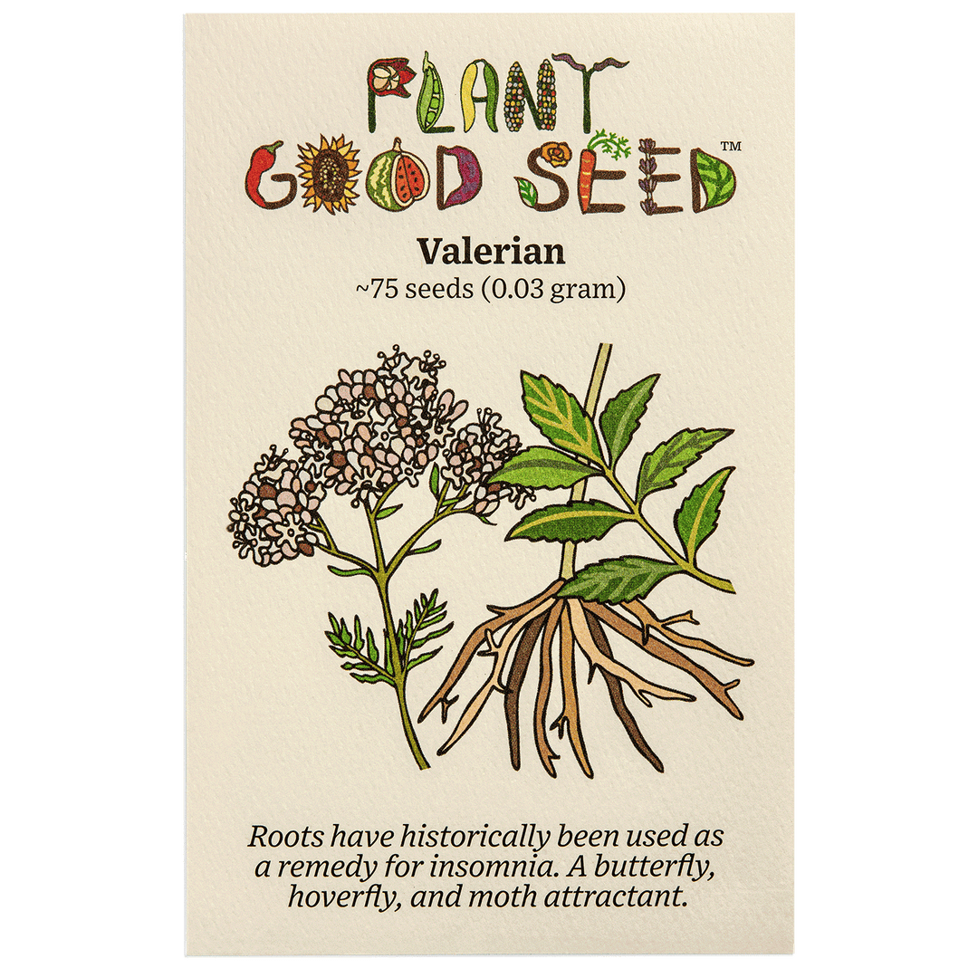 Valerian Seeds / Official Valerian Seeds - The Plant Good Seed Company