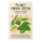 Prospera® F1 Basil Seeds - The Plant Good Seed Company