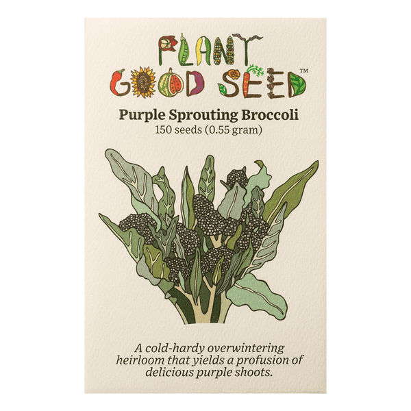Purple Sprouting Broccoli Seeds - The Plant Good Seed Company