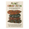 Earth Tones Dent Corn Seeds - The Plant Good Seed Company