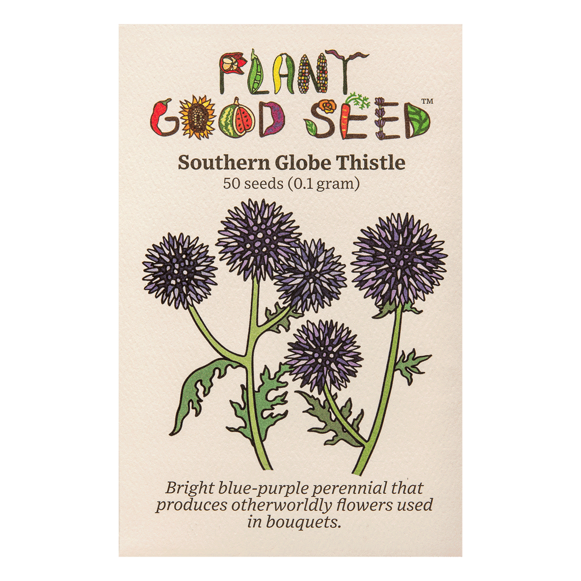 Southern Globe Thistle Seeds - The Plant Good Seed Company
