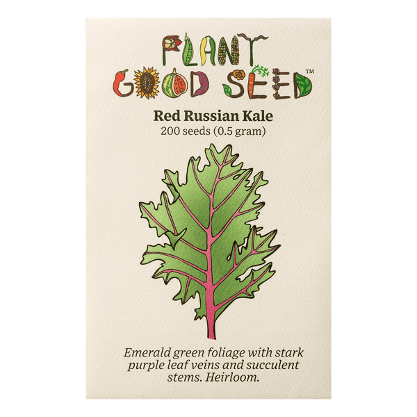 Red Russian Kale - The Plant Good Seed Company