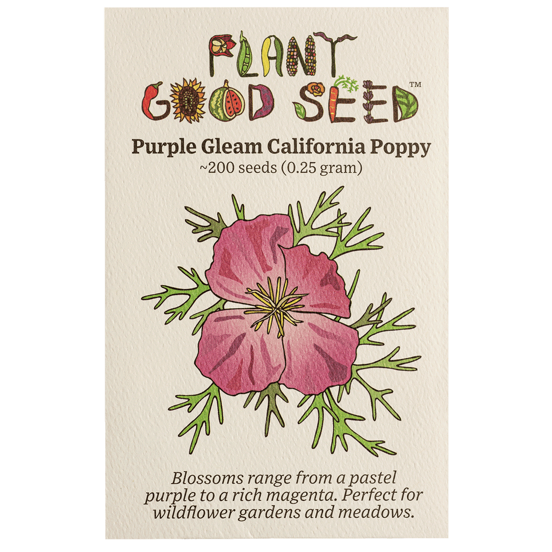 Purple Gleam California Poppy Seeds - The Plant Good Seed Company