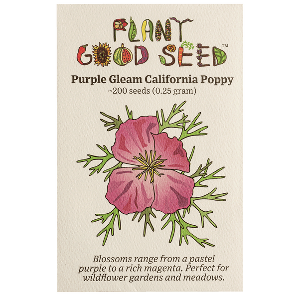 Purple Gleam California Poppy Seeds - The Plant Good Seed Company