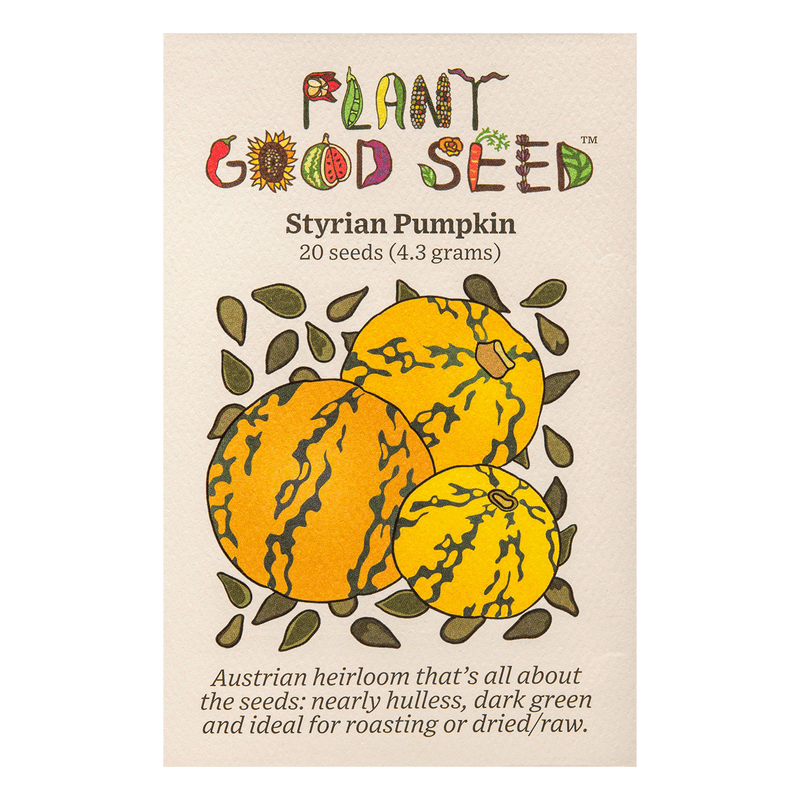 Styrian Pumpkin Seeds - The Plant Good Seed Company