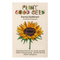 Soraya Sunflower Seeds - The Plant Good Seed Company