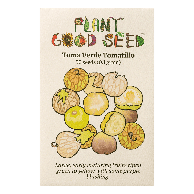 Toma Verde Tomatillo Seeds - The Plant Good Seed Company