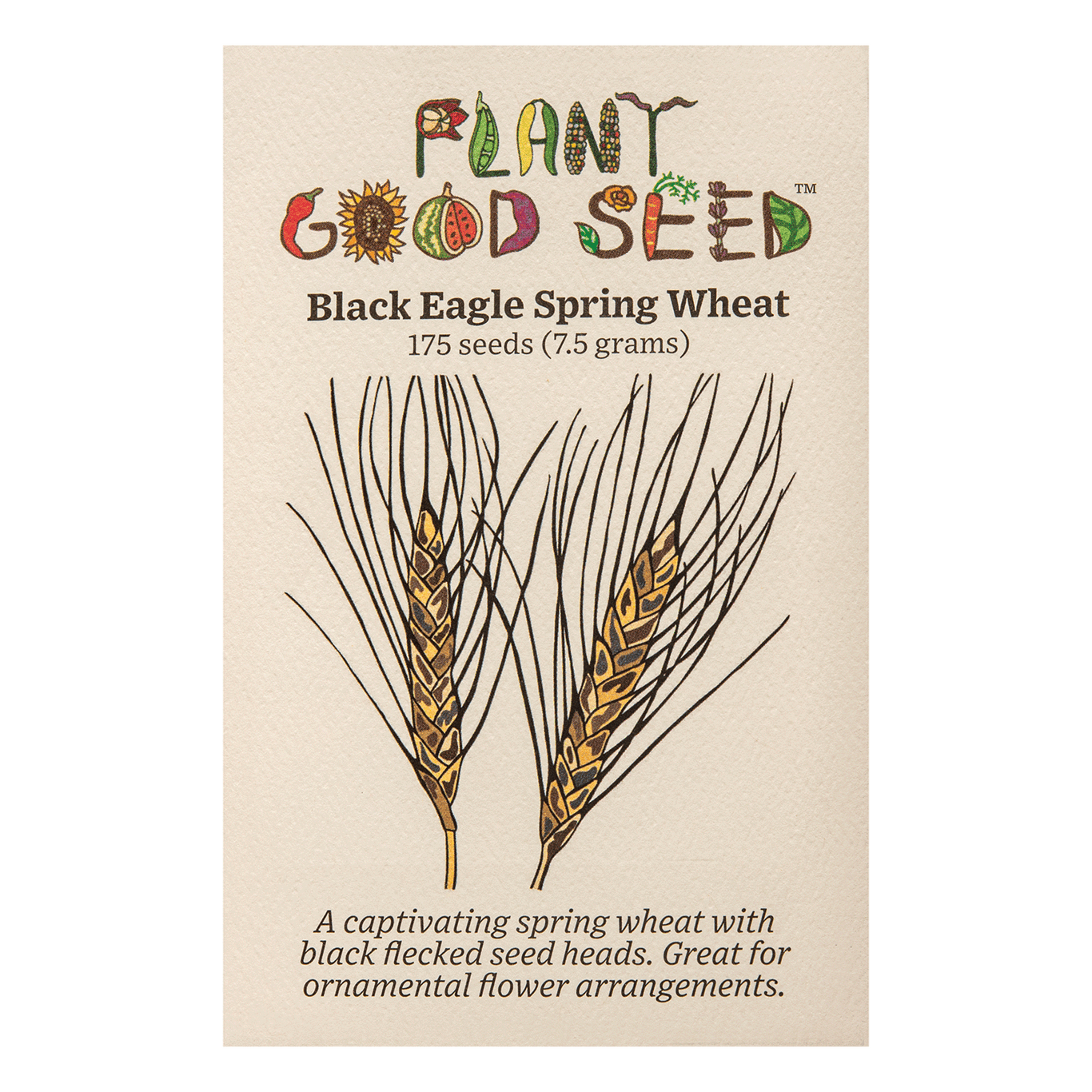 Black Eagle Spring Wheat Seeds - The Plant Good Seed Company